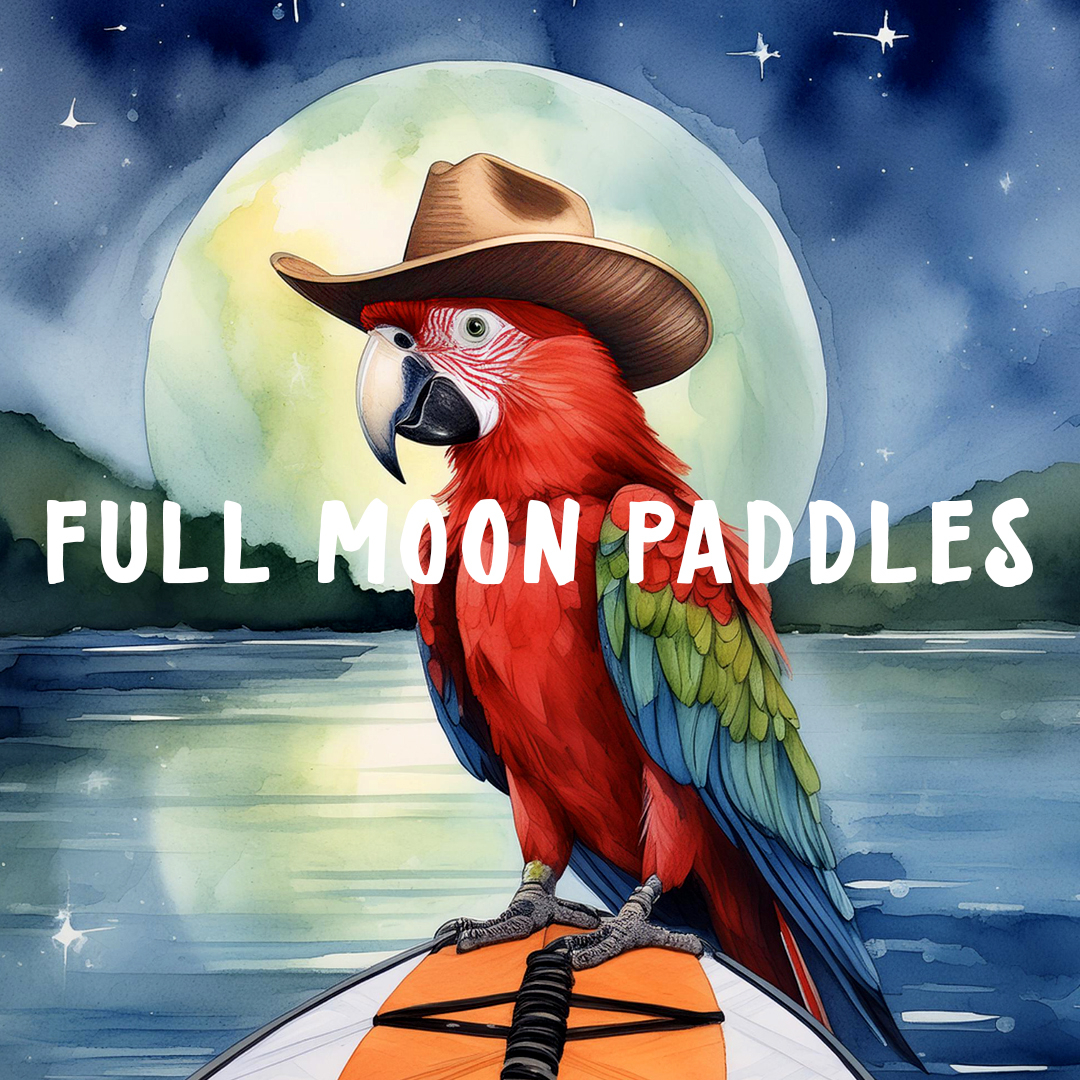 austin-paddleboard-full-moon-paddle - LakeTravis